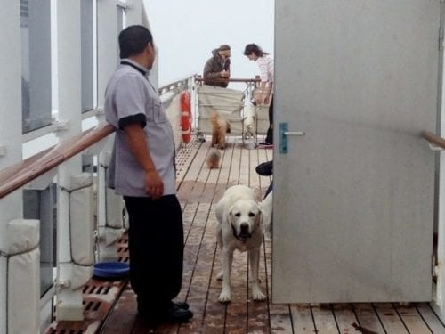 Queen Mary 2 Review in 10th Anniversary Infographic Video – Cruise Maven